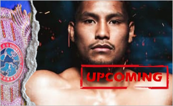 UBO - Universal Boxing Organization